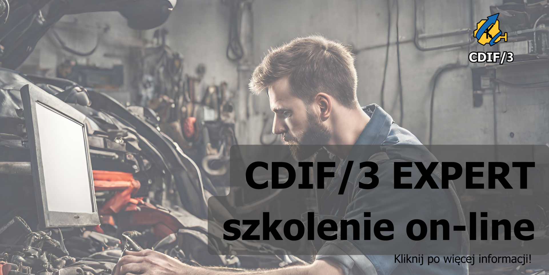 System diagnostyczny CDIF/3